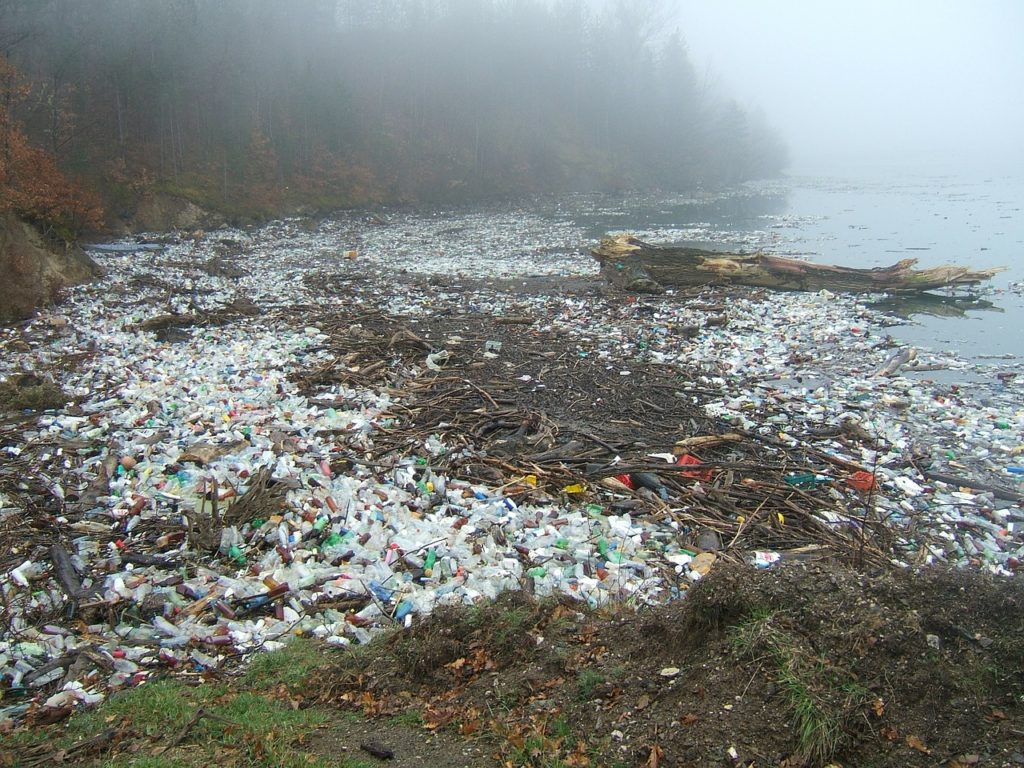 Contaminación del Agua: ¿Qué la provoca? [Tipos y Posibles Soluciones] 💧🌊