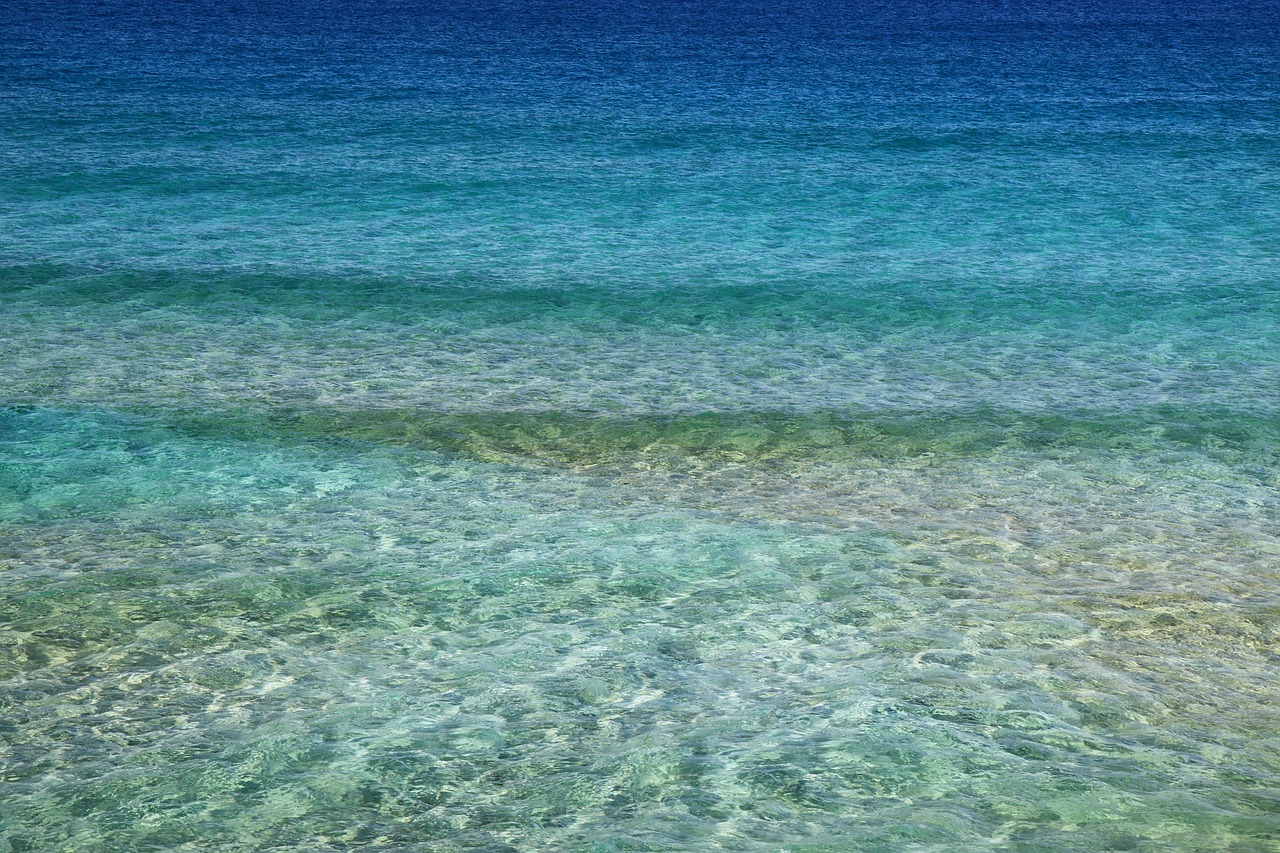 Ecosistemas Marinos: [Concepto, Tipos y Ejemplos] 🌊💧