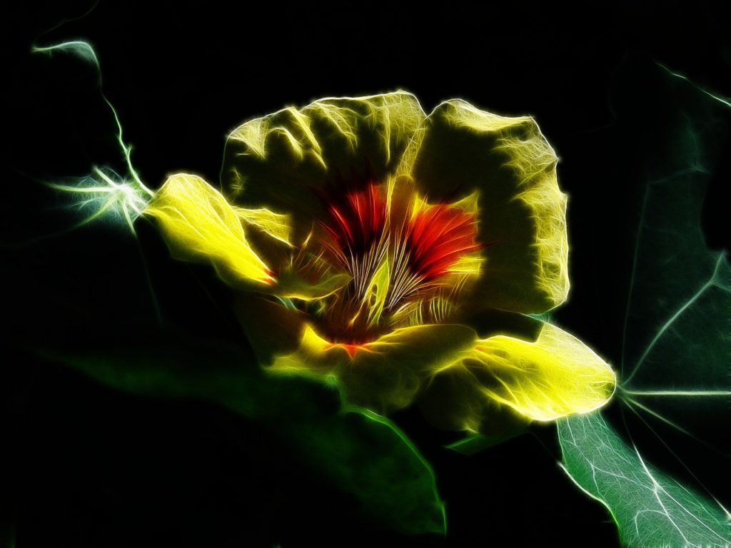 Material Hidrófobo: ¿Qué es? ¿Por qué es tan útil? 🧺💧