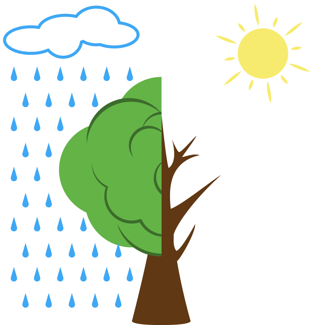 Cambio Climático: ¿Es real? [Causas, Consecuencias y Soluciones] 🔥🌞