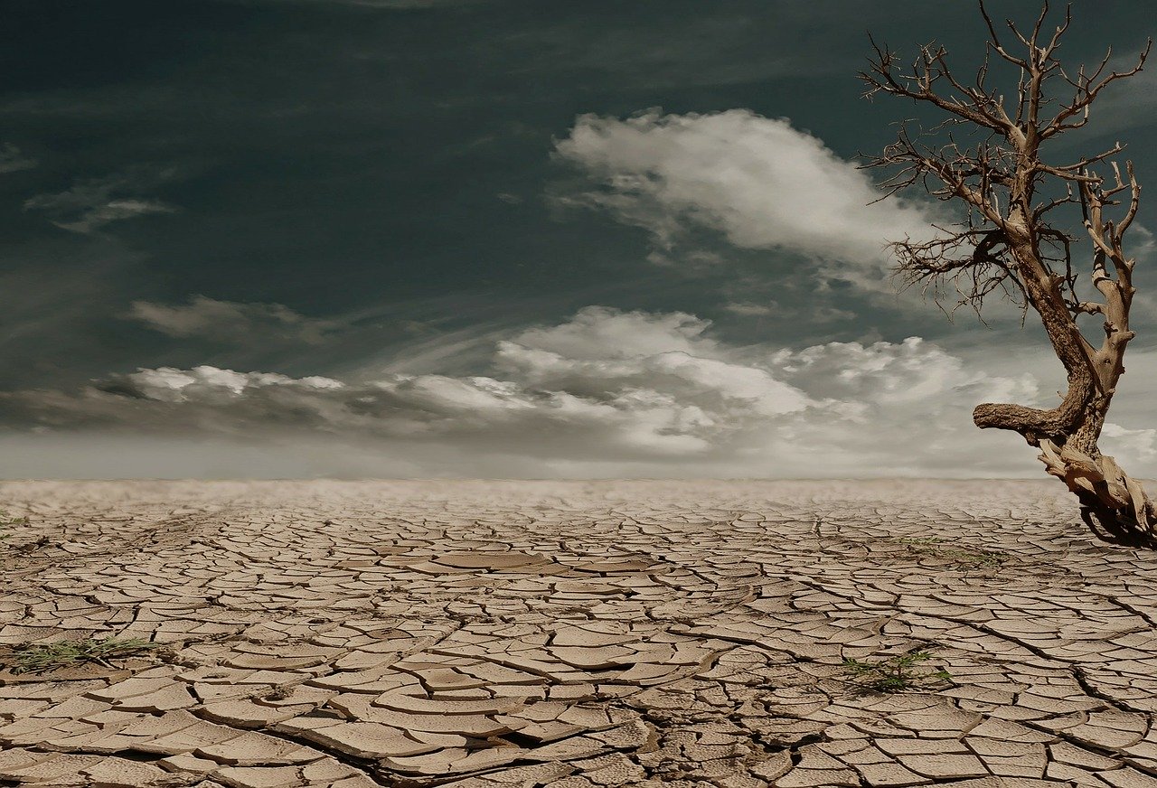 Desiertos: [Ubicación, Características, Flora, Fauna y Temperaturas]