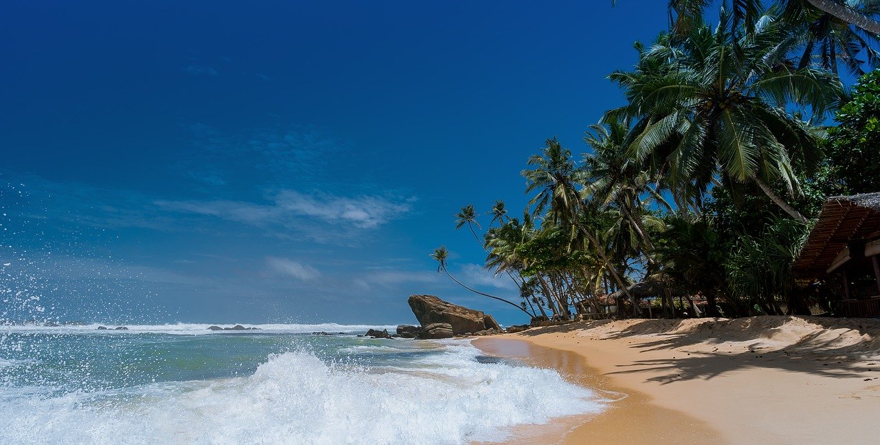 Islas Oceánicas: [Características, Fauna, Flora y Temperatura]