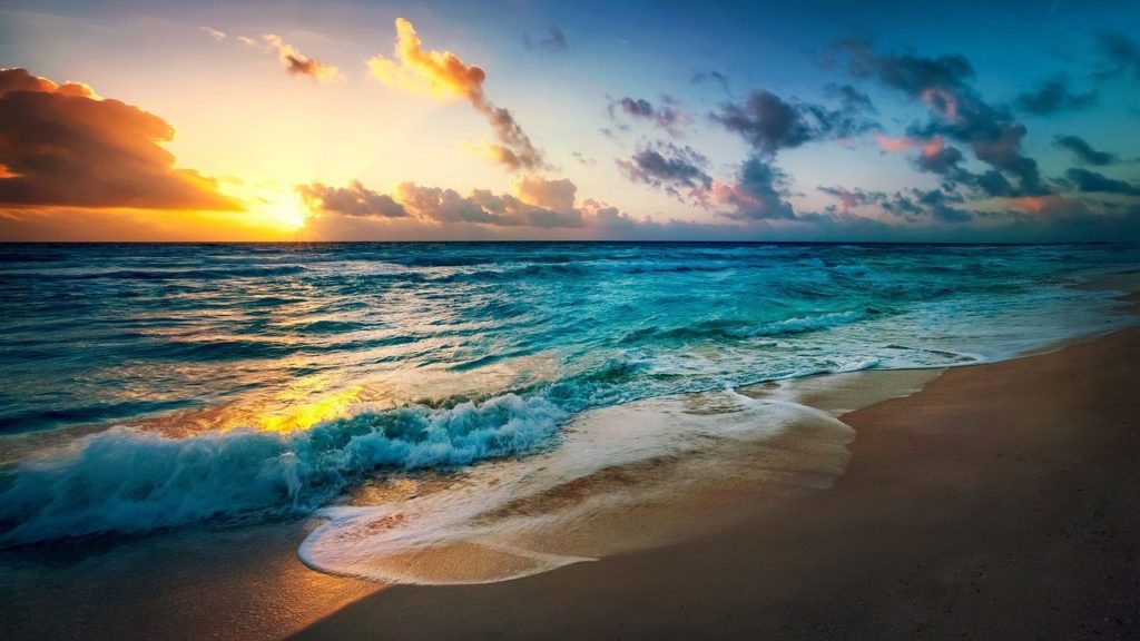 Islas Oceánicas: [Características, Fauna, Flora y Temperatura]