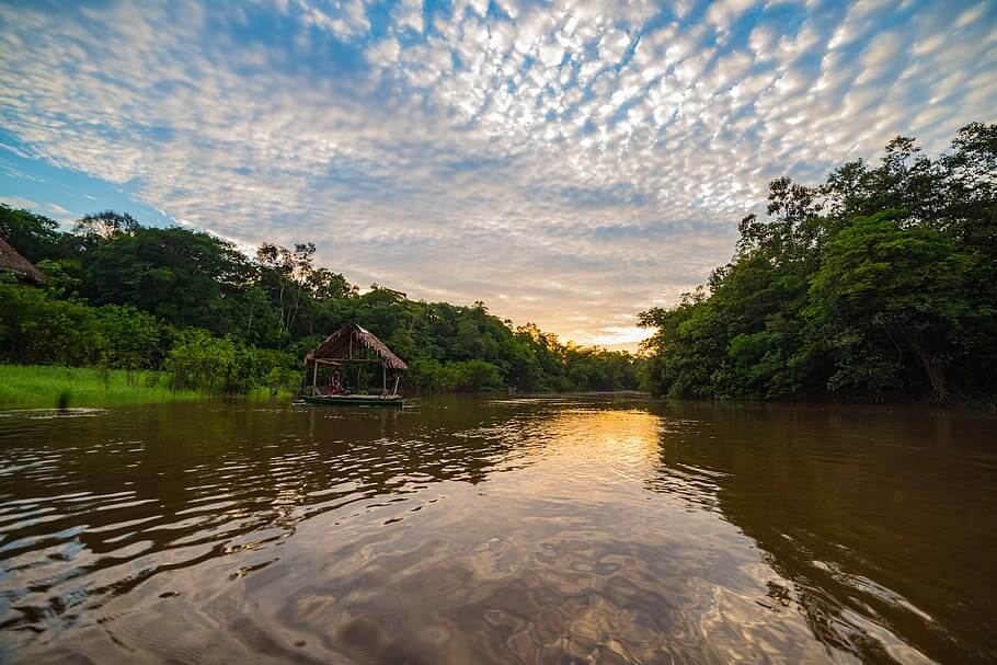Los 3 Bosques más Grandes del Mundo: [Características e Imágenes]
