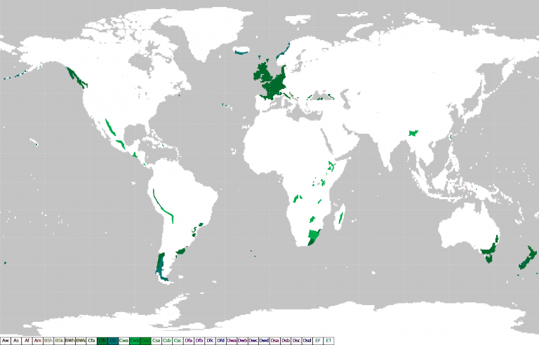 Clima Oceánico: [Características, Flora, Fauna y Adaptabilidad]