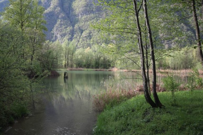 Biotopos: [Concepto, Componentes, Funcionamiento y Temperatura]