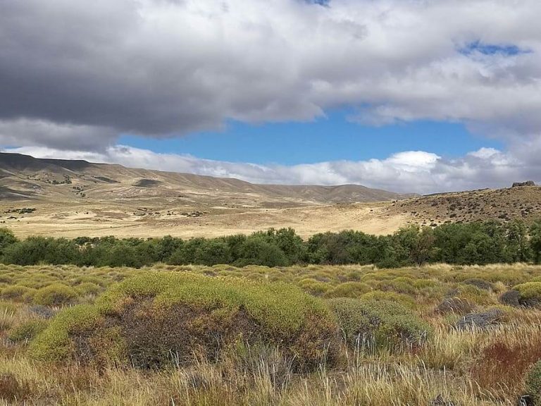 Clima Semiárido: [Características, Flora, Fauna y Adaptabilidad]