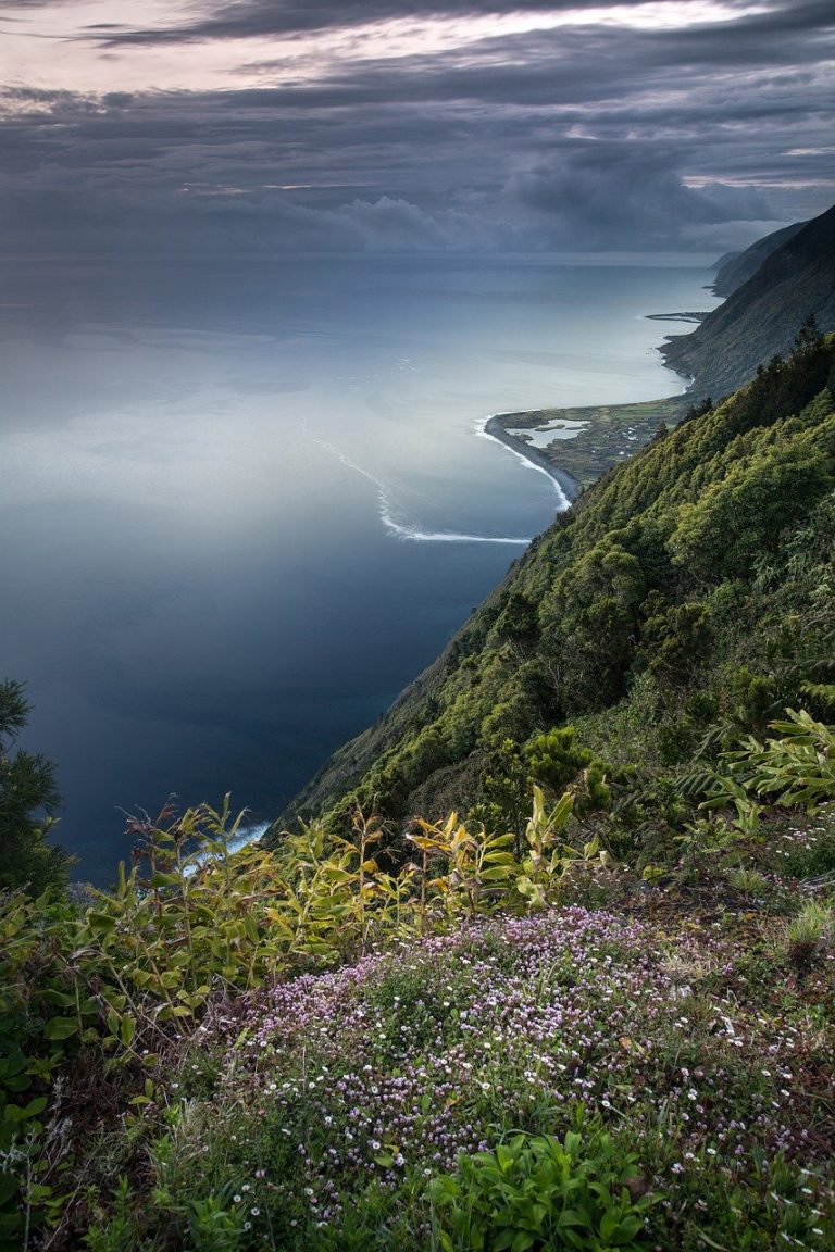 Clima Oceánico: [Características, Flora, Fauna y Adaptabilidad]