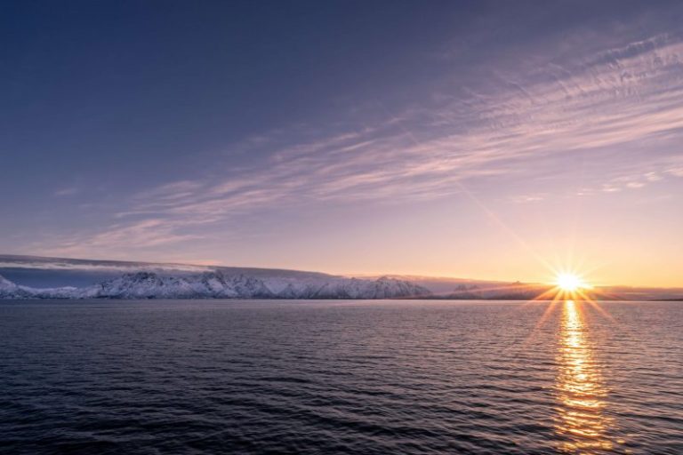 Clima Subpolar: [Características, Flora, Fauna y Adaptabilidad]