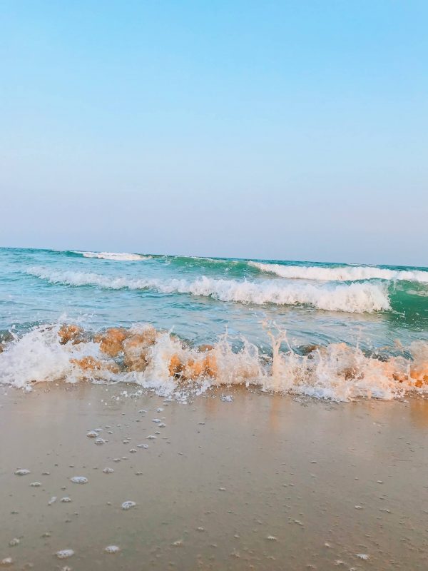 Océano Índico: [Características, Fauna, Flora y Temperatura]