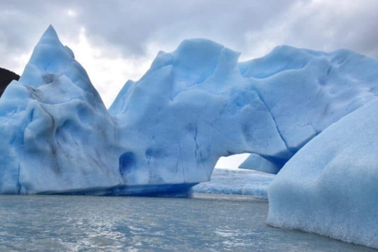 Clima Polar: Características, Flora, Fauna y Adaptabilidad